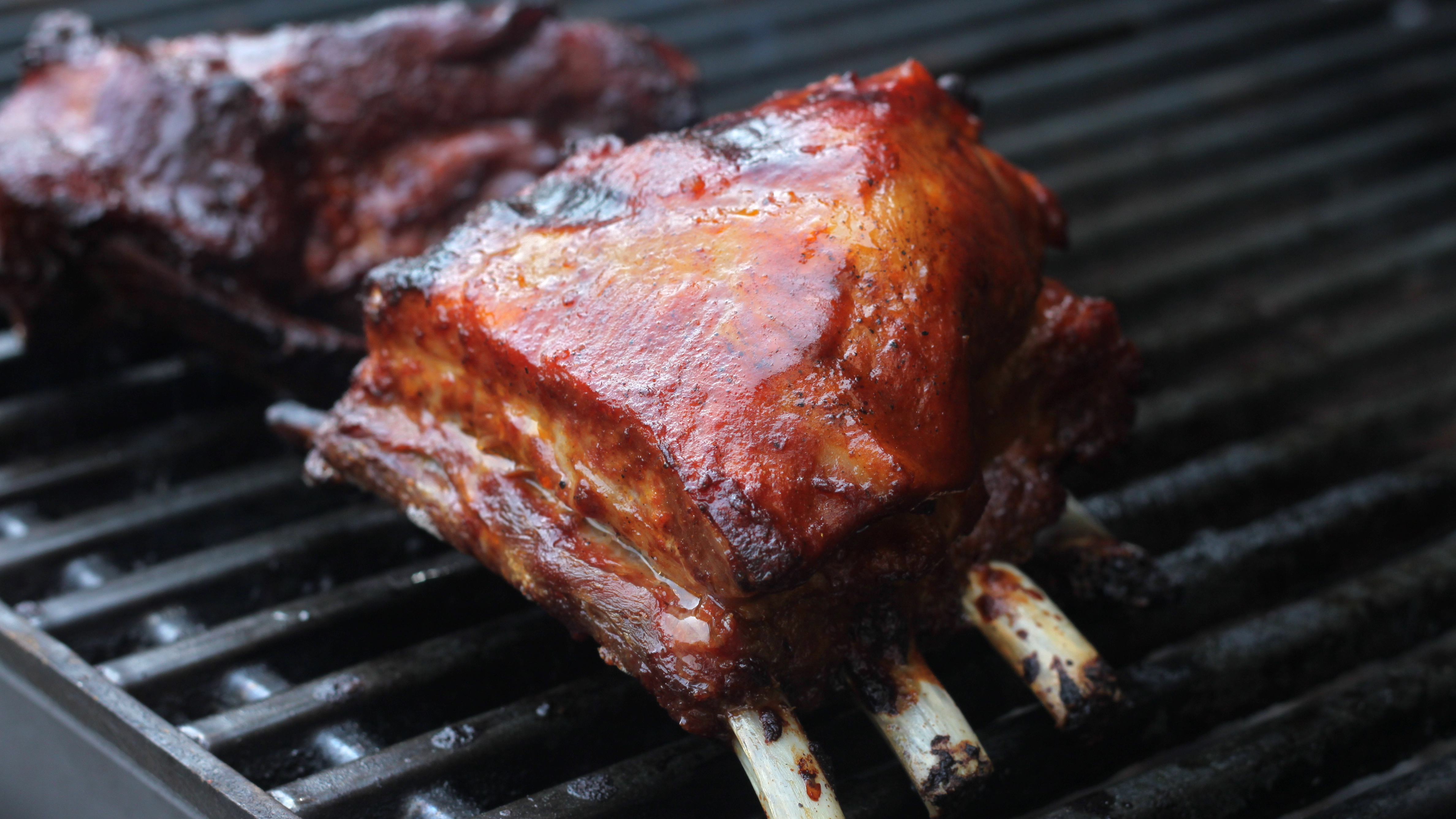 bbq baharija | kruh & vino
